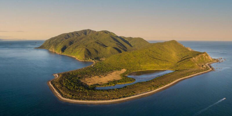 Tête-à-tête avec des kiwis - Kapiti Island - Antipodes Travel